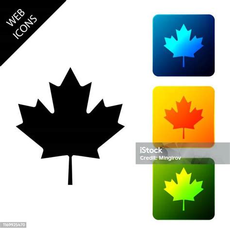 흰색 배경에 격리 된 캐나다 단풍 잎 아이콘입니다 캐나다 기호 단풍 잎입니다 설정 아이콘 다채로운 사각형 버튼 벡터
