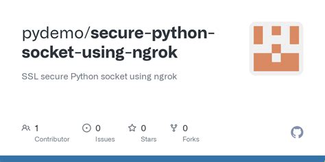Github Pydemosecure Python Socket Using Ngrok Ssl Secure Python