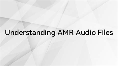 Understanding Amr Audio Files Hollyland