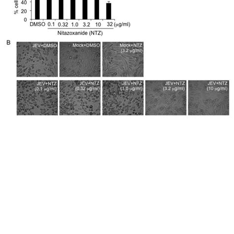 Structure Of Nitazoxanide Ntz Download Scientific Diagram