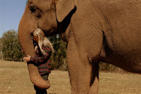 Sanctuary Site Title