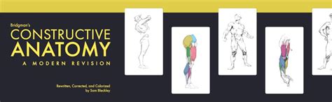 Bridgmans Constructive Anatomy A Modern Revision Rewritten