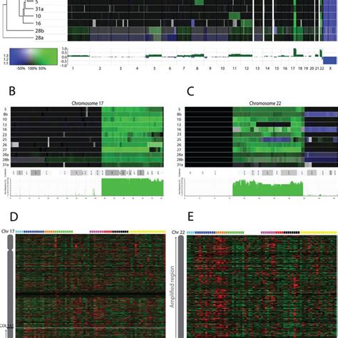 Single Nucleotide Polymorphism Snp Array And Rna Sequencing Data In