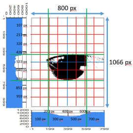 Histogram Vertical And Horizontal Download Scientific Diagram