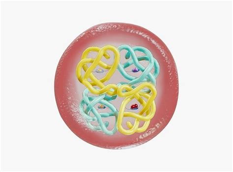 The Structure Of Hemoglobin 3d Model Cgtrader