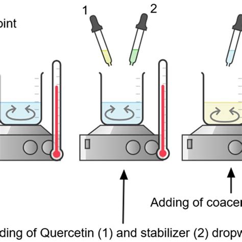 Steps Of Coacervation Process For Quercsln Created With Chemix