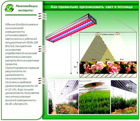Круглогодичные теплицы - варианты конструкций, как сделать своими руками