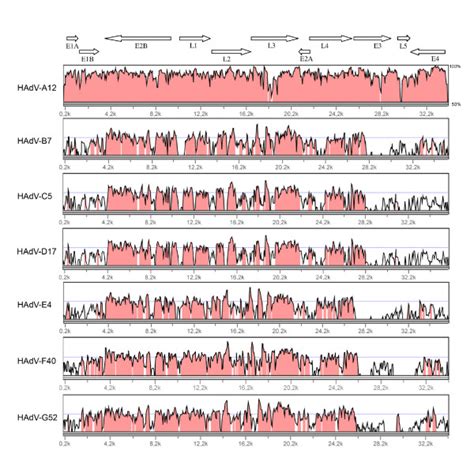 global pairwise sequence alignment of the hadv a31 genome with