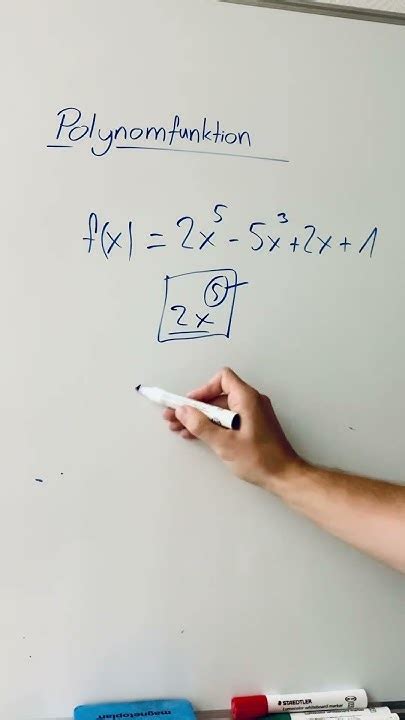 Polynomfunktion 🤔 Youtube