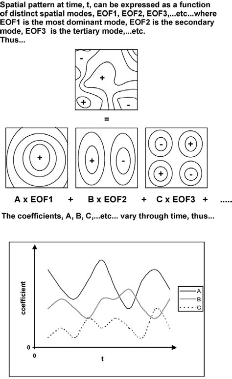Schematic Cartoon Illustrating The Essential Elements Of The Empirical Download Scientific