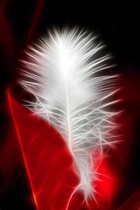 Neon Red Feather By Lesley Smitheringale Digital Konst Konst Bakgrund