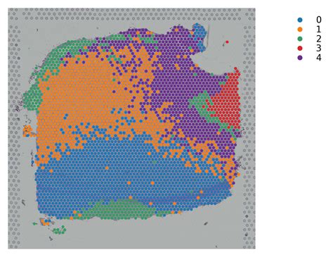 stsme clustering tutorial — stlearn 0 3 1 documentation