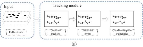 hift cell tracking framework
