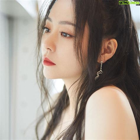 Jane Zhang Wiki Biography Age Gallery Spouse And More