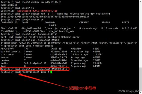 Springboot微服务打包dokcer镜像多个springboot服务打包成一个docker镜像 Csdn博客