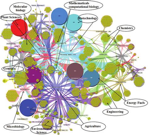 Scientific Collaboration Network In Research Download Scientific Diagram