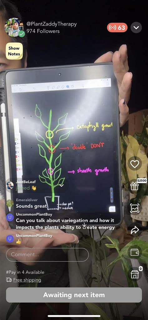 How A Berkeyley Math Phd Explains Selective Propagation 😂 Rrareplants