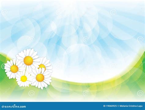 Spring Background Chamomile Flowers Stock Illustrations 19 035 Spring