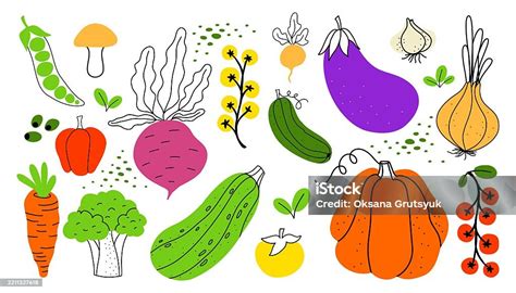 정원 채소의 생생한 낙서 일러스트레이션 가지 호박 브로콜리 무 양파 및 더 신선한 농산물을 기발한 만화 스타일로 특징으로 하는 재미있는 예술적 컬렉션 가지 채소에 대한 스톡