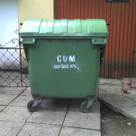 Stream S A Cd Shes A Cum Dumpster Prod By Djziggi By If Your Not 1st