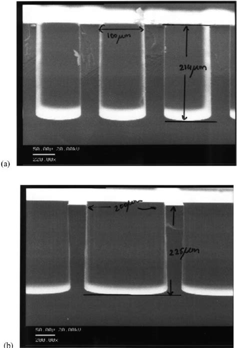 cross section sections of deep reactive ion etched cups a 150 m m