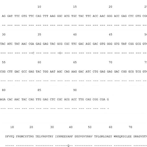The Nucleotide Sequence A And Corresponding Amino Acid Sequence B