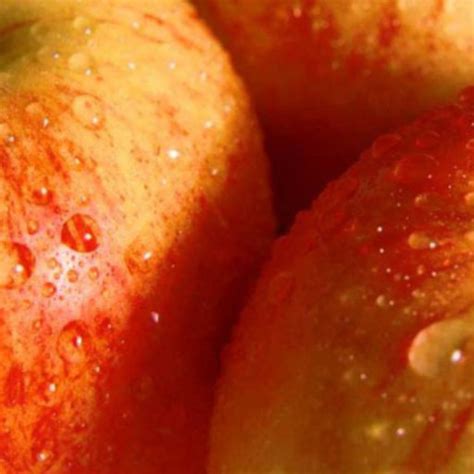 H Karimi Islamic Azad University Tehran Science And Research Branch Tehran Srbiau