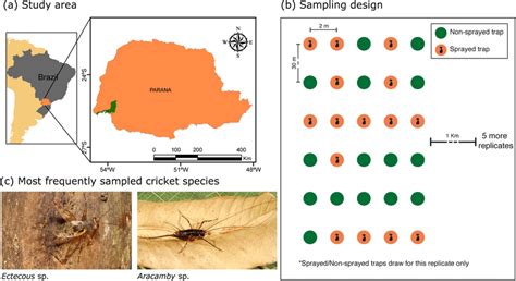 Map Of The Sampling Region A Sampling Experimental Design B And