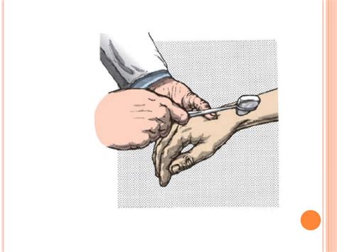 Reflexes Superficial And Deep Tendon Reflexes Pptx