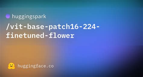 Huggingspark Vit Base Patch Finetuned Flower Hugging Face
