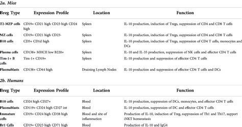 Expression Of Cell Surface Markers In Different Phenotypes Of Breg