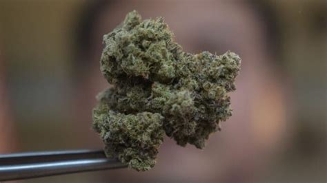 El Incremento En La Oferta De Estupefacientes Un Obstáculo En La