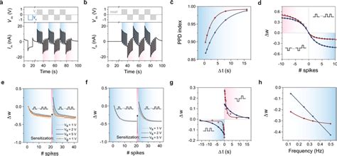 Experimental And Numeric Simulation Results Of The Synaptic Behavior Of