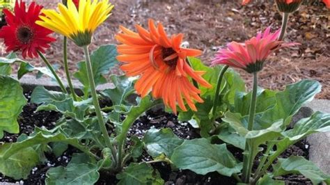 Soil Structure What Is Soil Structure Soil Structure What Is Soil Structure