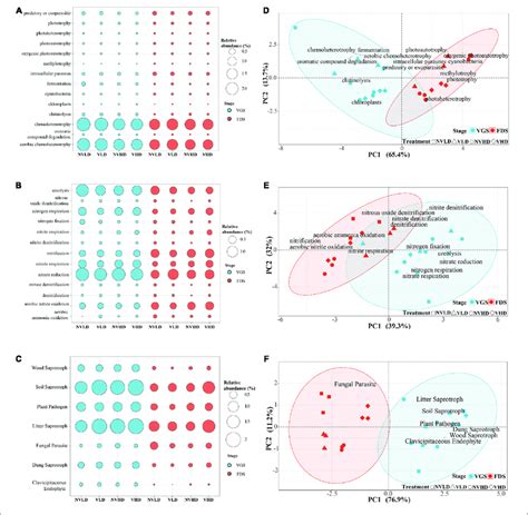 Composition And Structure Of The Functional Groups In Microbial Download Scientific Diagram