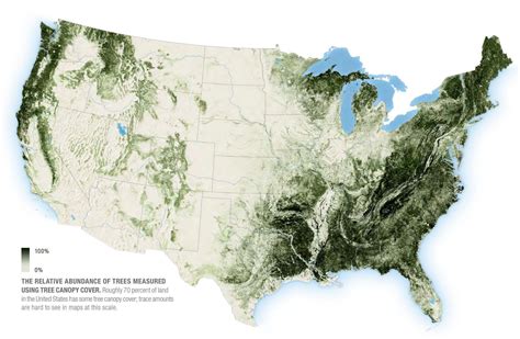 Tree Density And Type In The Us Lower 48 Rmapporn