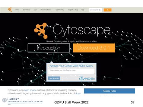 Visualising And Analysing Networks Ppt Visualising And Analysing Networks Ppt