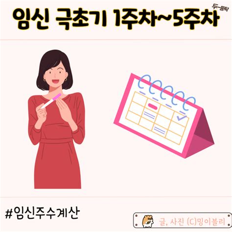 임신 극초기 증상 1주차 2주차 3주차 4주차 5주차 임신주수계산 네이버 블로그