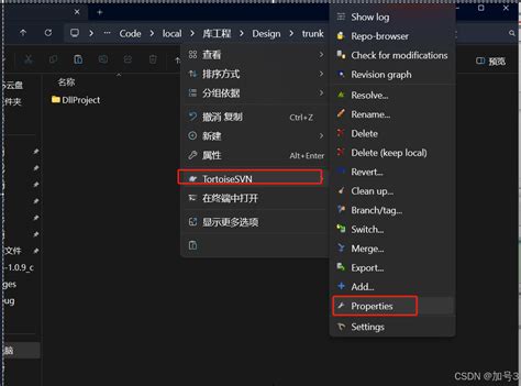 svn 设置过滤上传文件 svn过滤文件 csdn博客