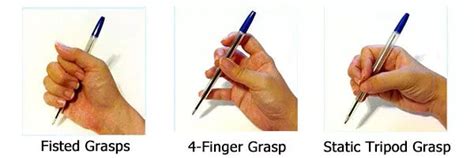 Pdms 2 Scoring Roccupationaltherapy