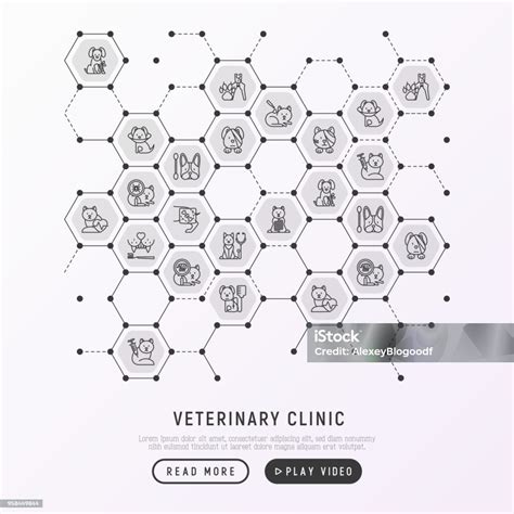 얇은 선 아이콘으로 넓어짐에 수의학 클리닉 개념 다리 보호 고리 사출 심장학 귀 청소 이빨 발톱 털 눈에 붕대 벡터 일러스트입니다 수의사에 대한 스톡 벡터 아트 및 기타