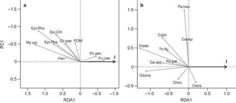 Ordination Graphs Of First Constrained Ordination Axis Rda1 With Bay