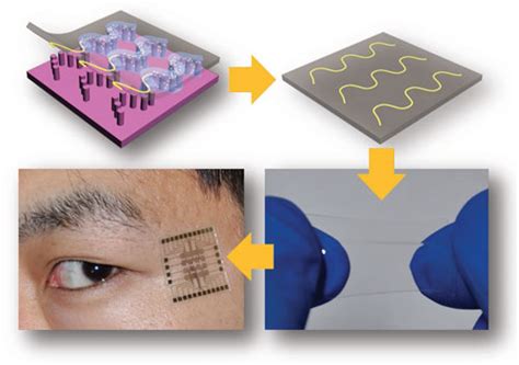 Flexible Sensors