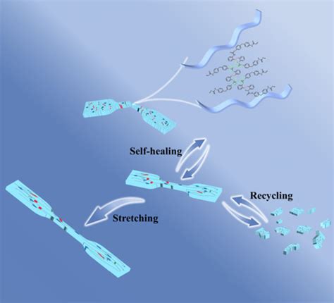 Design And Properties Of Dynamic Self‐healing Polyurea Molecule Based