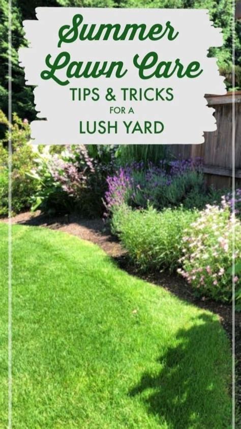 How To Prevent And Kill Crabgrass Artofit