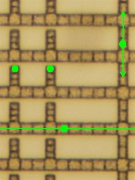Princeton Quantum Initiative