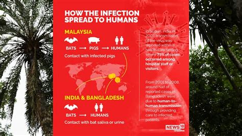 Nipah Virus Outbreak In Kerala All You Need To Know