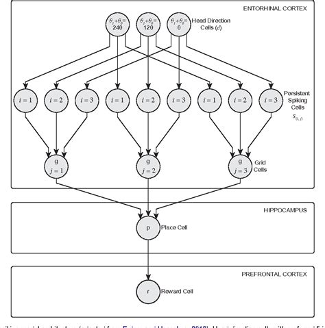 Figure 1 From Modeling Of Grid Cell Activity Demonstrates In Vivo