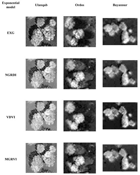 Sustainability Free Full Text A Novel Desert Vegetation Extraction And Shadow Separation