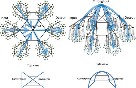 Organisms As Nested Modular Small World Networks The Bow Tie Download Scientific Diagram